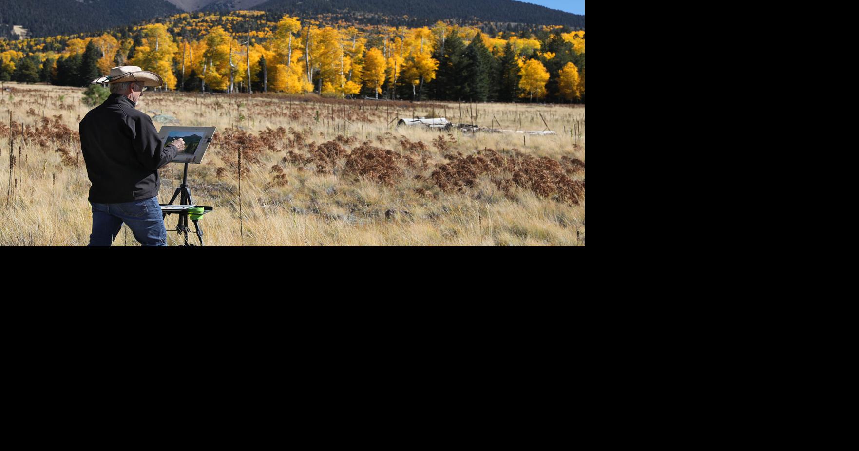Gallery: Fall at its finest in Flagstaff as leaves turn | Local News ...