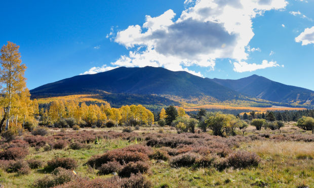 More Flagstaff fall beauty | | azdailysun.com