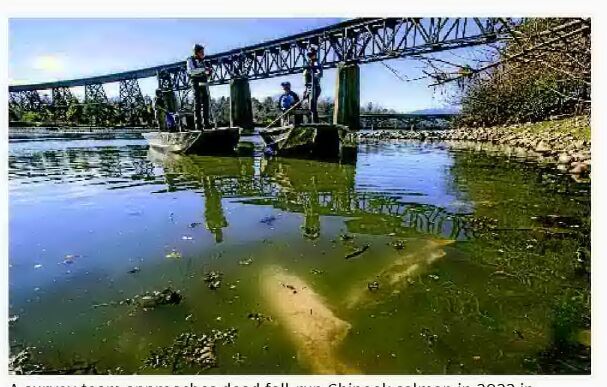 Study sheds light on ocean heat waves | | azdailysun.com