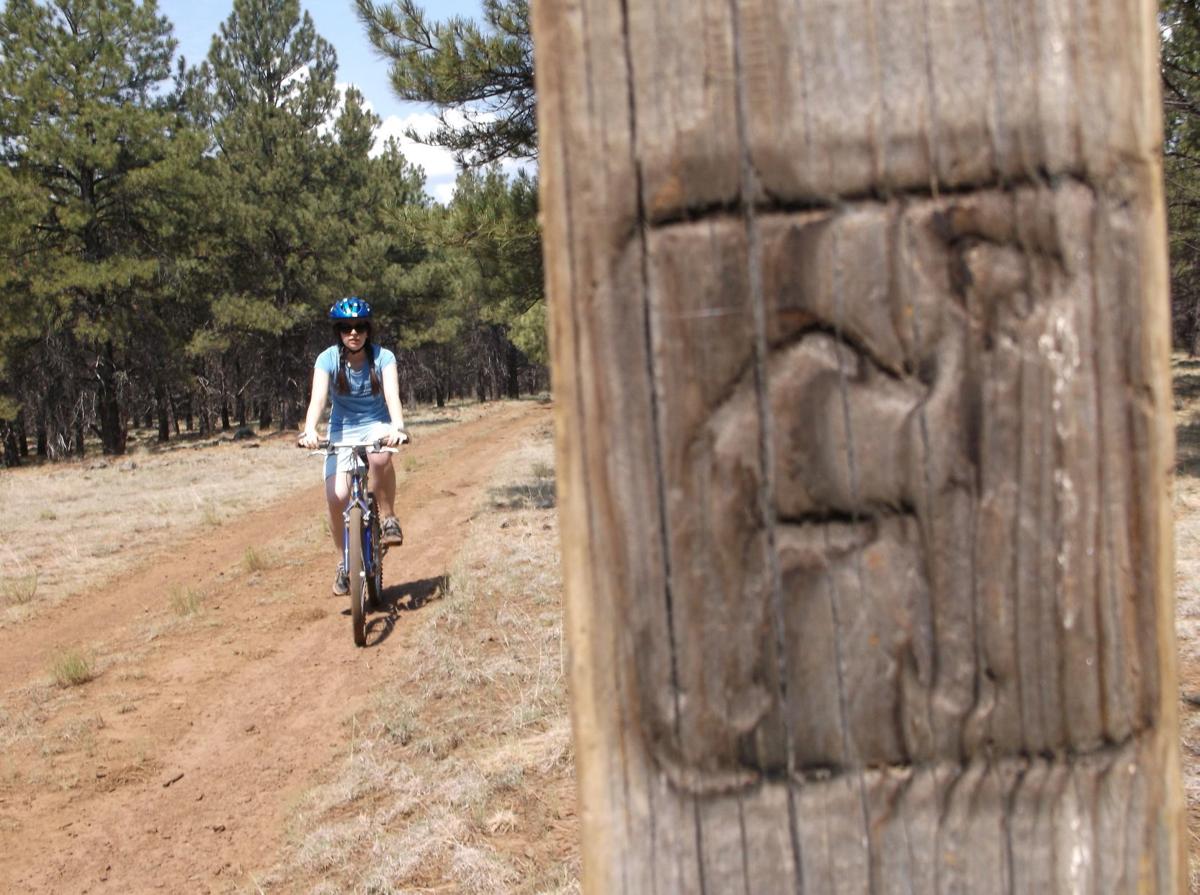 Hit the trail: Old Beale Wagon Road a wide open bike ride | Recreation ...