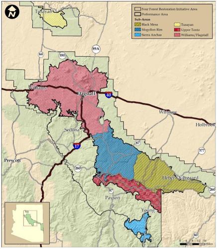4FRI works to open next phase of forest thinning | News | azdailysun.com