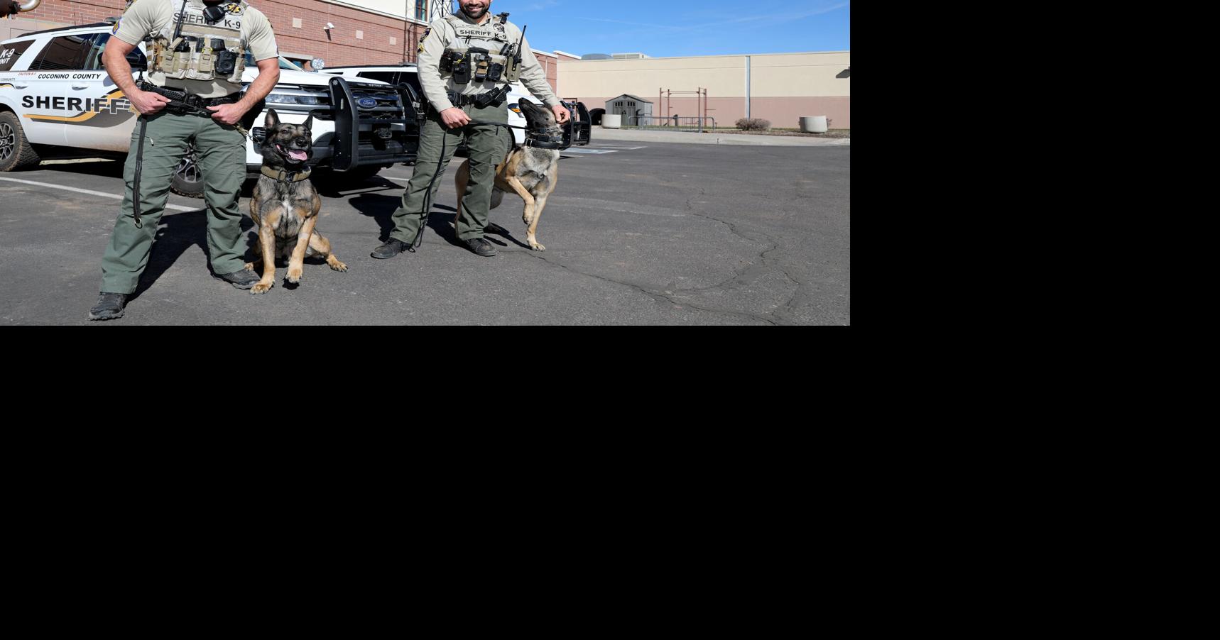 Coconino County Sheriff’s Office K-9 Unit draws an ACE in adding dog to ...