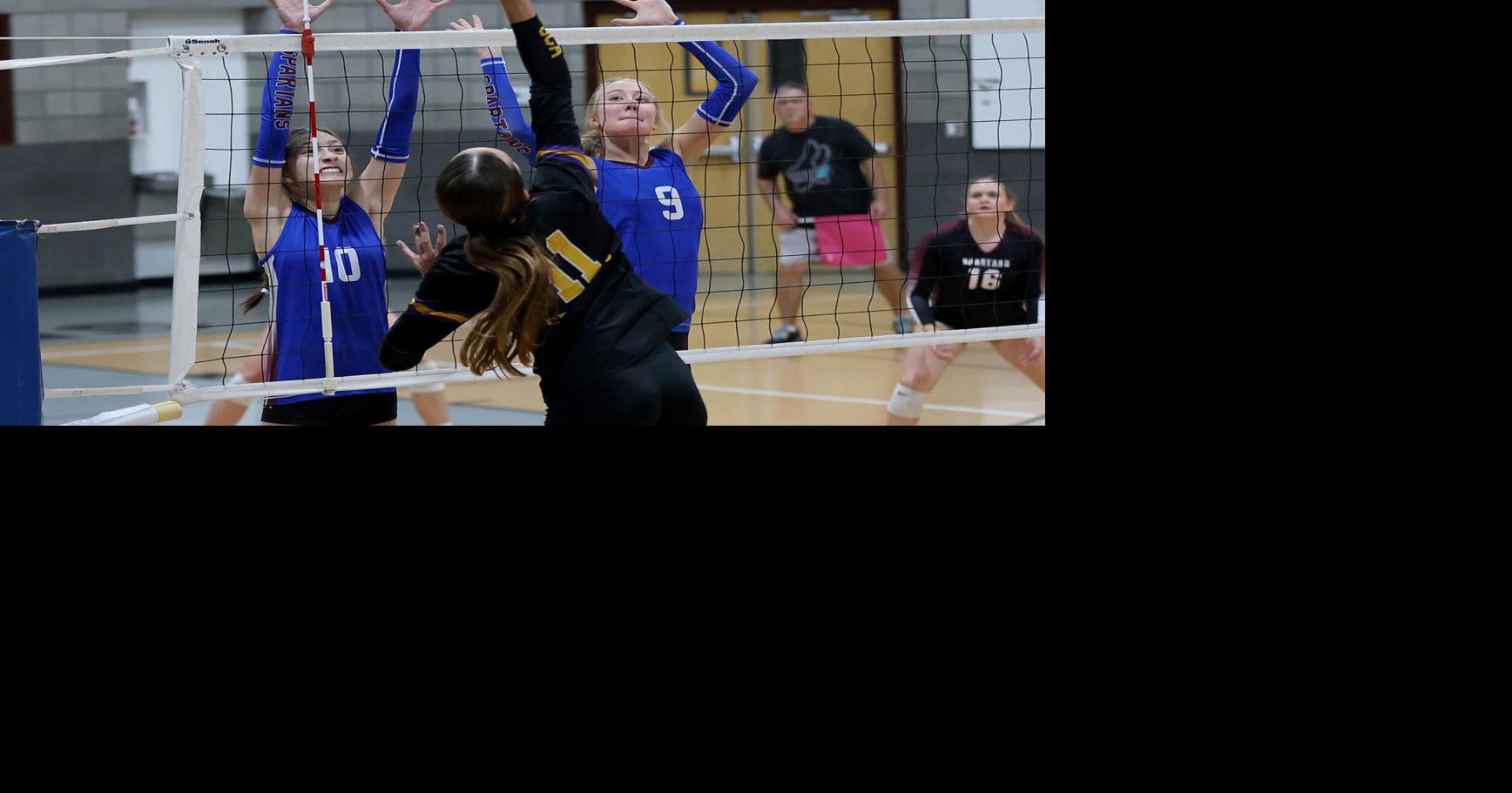 NPA volleyball advances to state tournament with play-in round win ...