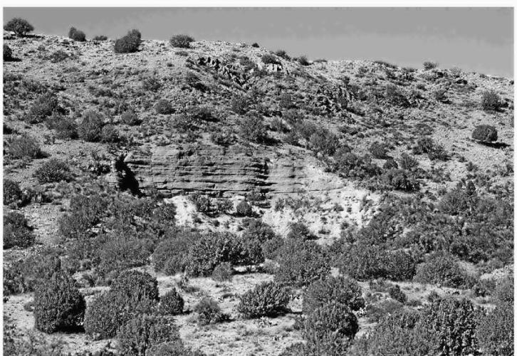 AZ's second dominant landform