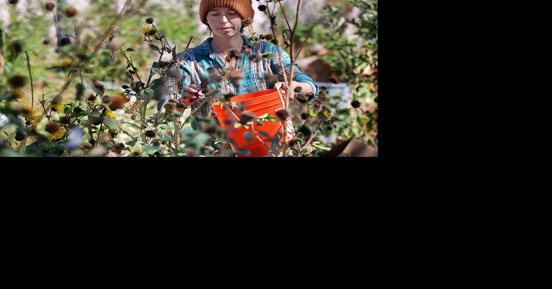 Gallery: Rewilding Spaces | | azdailysun.com