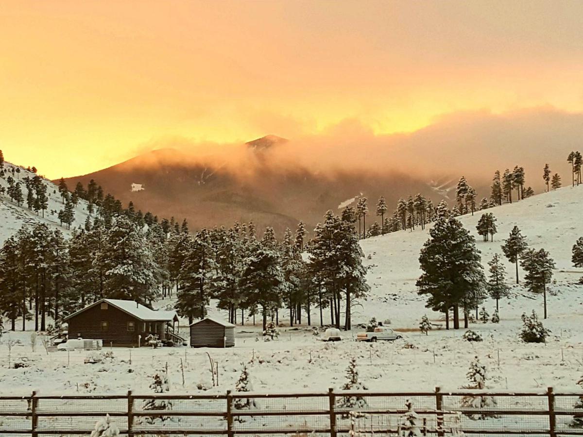 Photos: Flagstaff's First Snow | Local | azdailysun.com