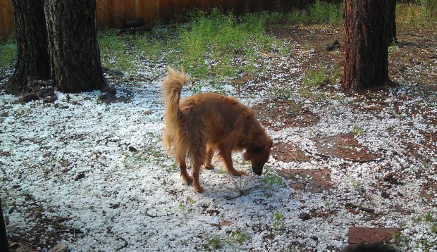 Got hail storm photos? | Local | azdailysun.com