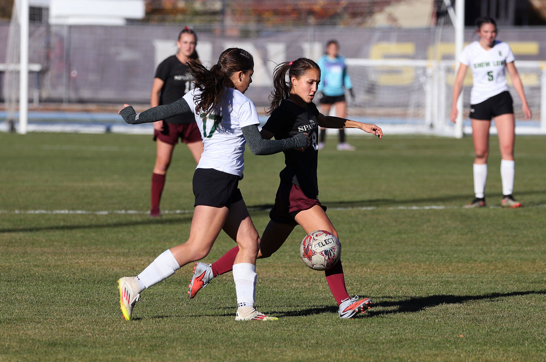 NPA girls soccer advances to state tournament semifinal with win at ...