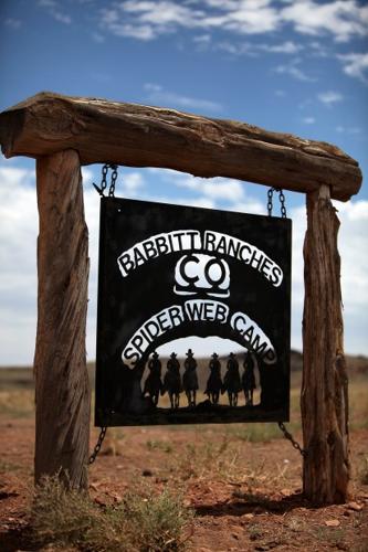 Hashknife sale a Babbitt Ranches tradition | | azdailysun.com