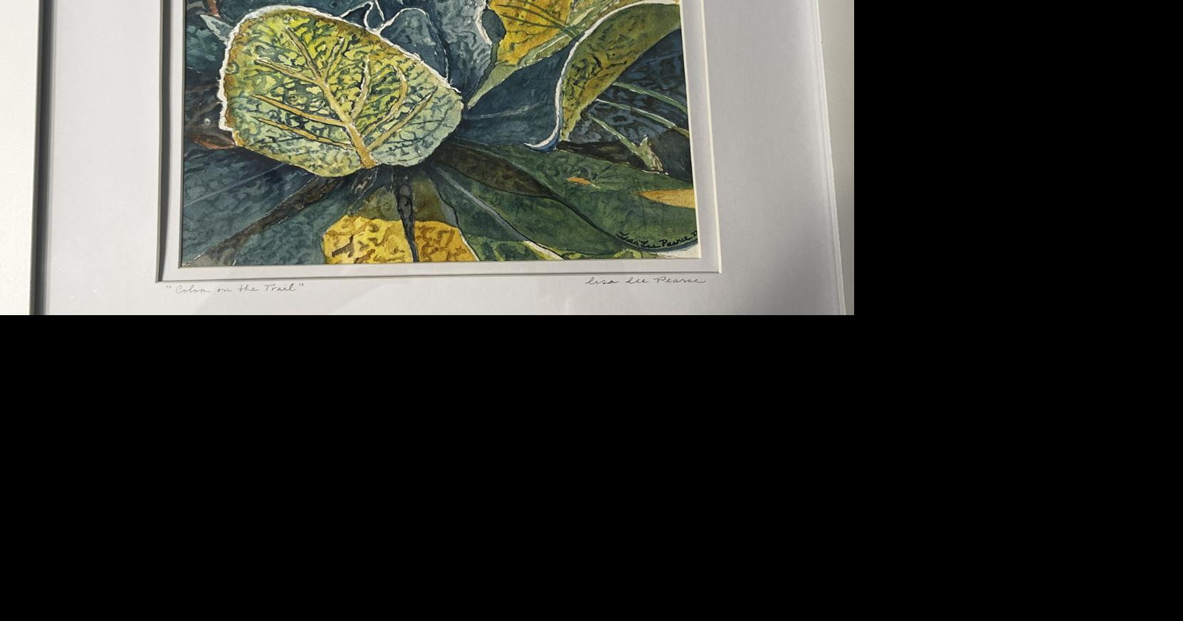 Local artist, Lisa Lee Pierce, exhibits art at the Mayo Clinic in ...