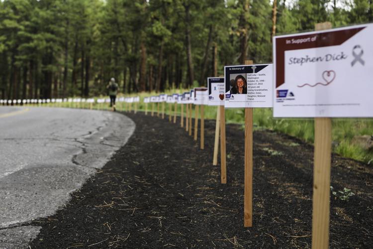 34th Annual Climb For Cancer | Local News | azdailysun.com