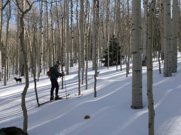 Cross country skiing comes full circle at Hart Prairie