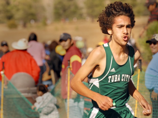 Steady at cross country sectionals