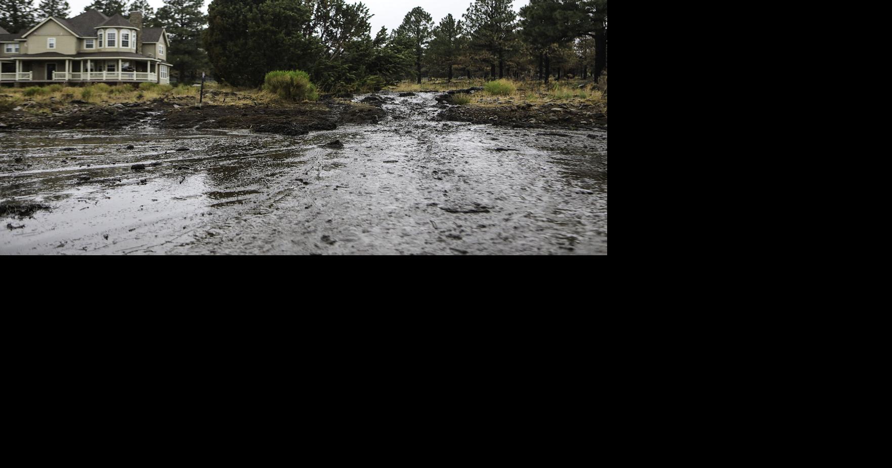 Coconino National Forest reviewing, seeking input on $40 million post ...