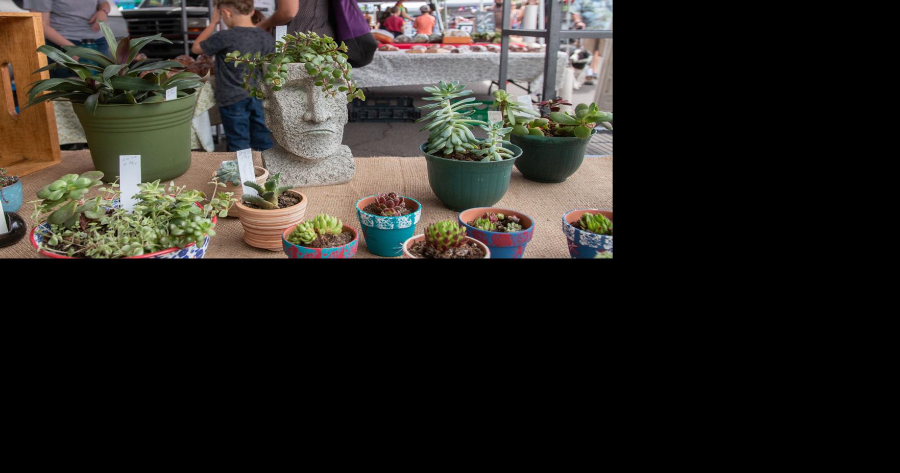 Five finds at the Flagstaff Community Farmers Market | Arts and Theatre ...