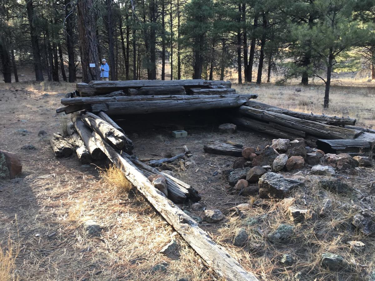 Outdoors: A bare winter hike to Babbitt Spring is a rare treat | Local ...