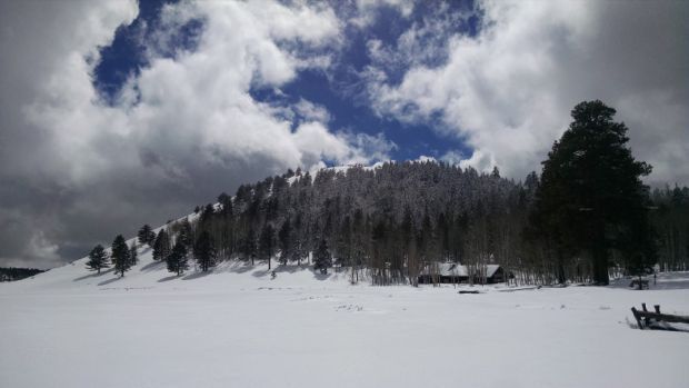 More Flagstaff winter beauty | | azdailysun.com