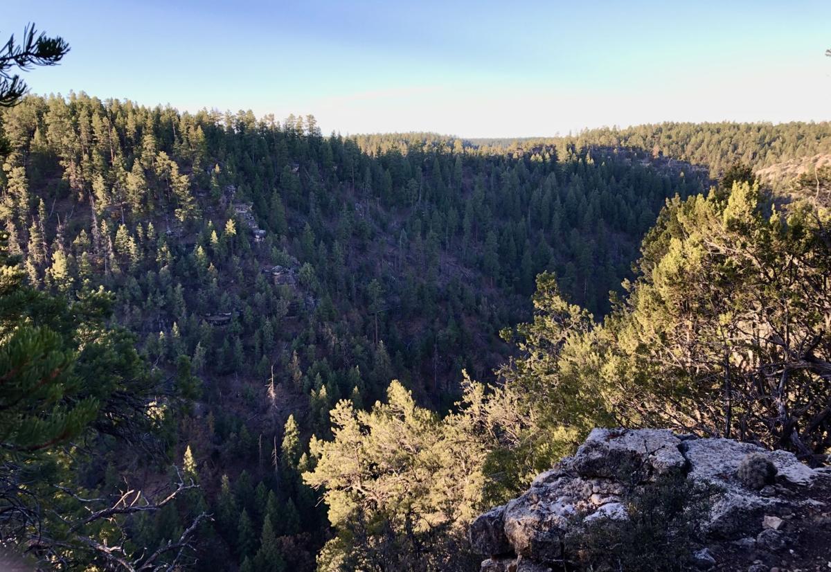 Outdoors: Taking a 'forest bath' along Walnut Canyon on the AZT | Local ...