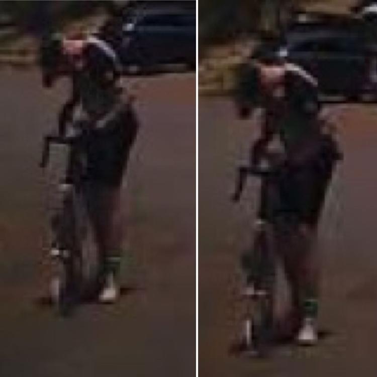 Flagstaff police say remains of Flagstaff's Kelly Paduchowski have been ...