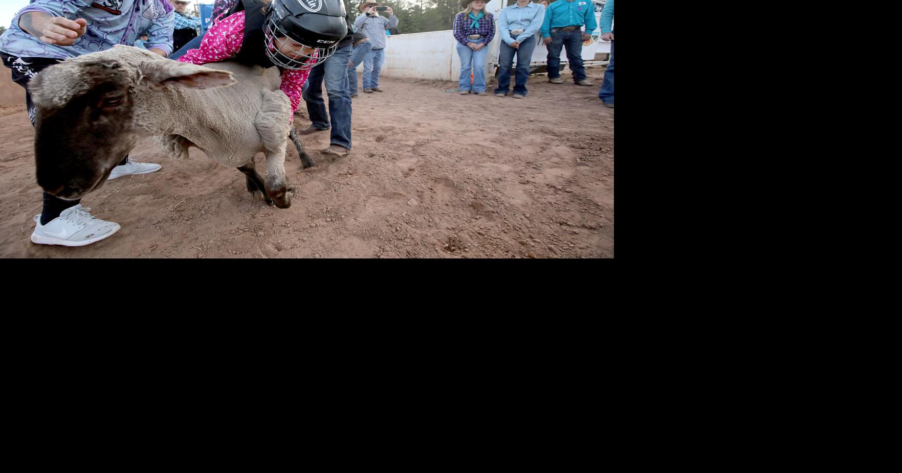 Gallery: Flagstaff Pro Rodeo kicks off for weekend at Fort Tuthill ...