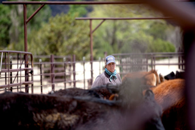 From range to restaurant