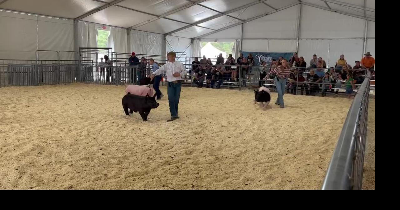 'We stay busy': Setup is no simple task as Coconino County Fair begins ...