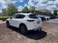 Flagstaff police say remains of Flagstaff's Kelly Paduchowski have been ...