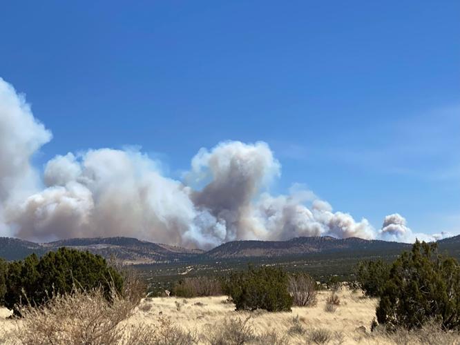 Gallery: Photos from the Tunnel Fire in northeast Flagstaff | Local ...