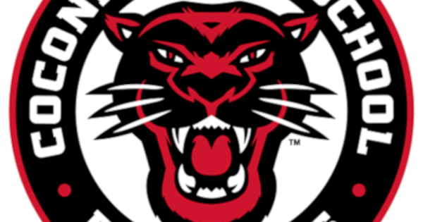 Coconino softball nearly sweeps 4A Conference awards, Flagstaff earns ...