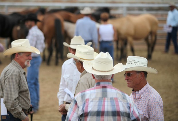 Hashknife sale a Babbitt Ranches tradition | | azdailysun.com