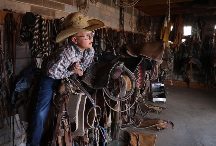 Gallery: Crowds gather for the annual Babbitt Ranches Hashknife Colt ...