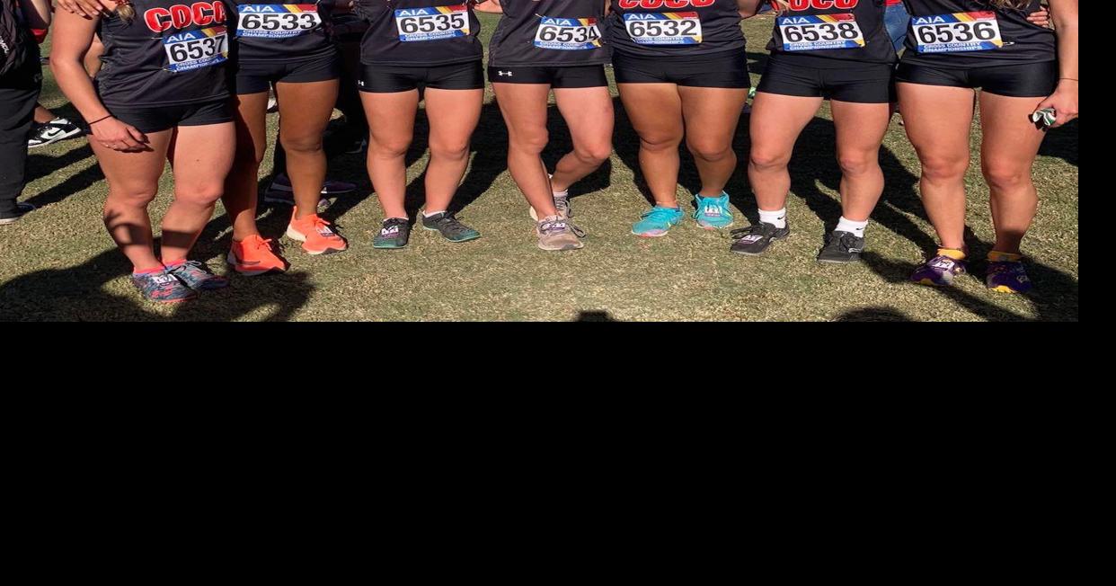 LOCAL ROUNDUP: Coconino girls, Flagstaff boys win XC state titles ...