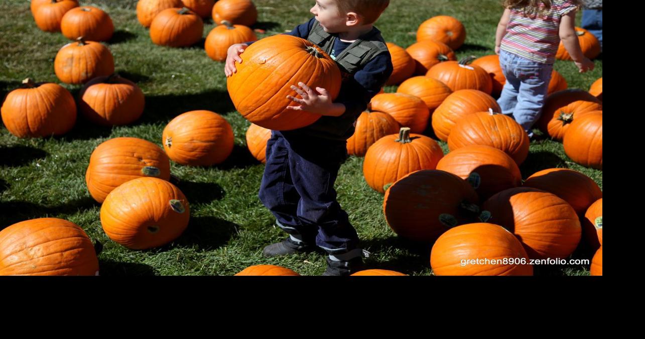 Around the town: Celebrate fall at annual Cornucopia Festival | Local ...