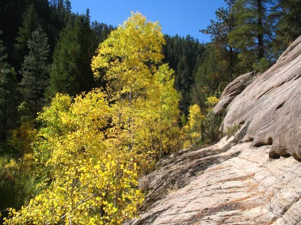 Outdoors: Timing is everything at Walnut Canyon