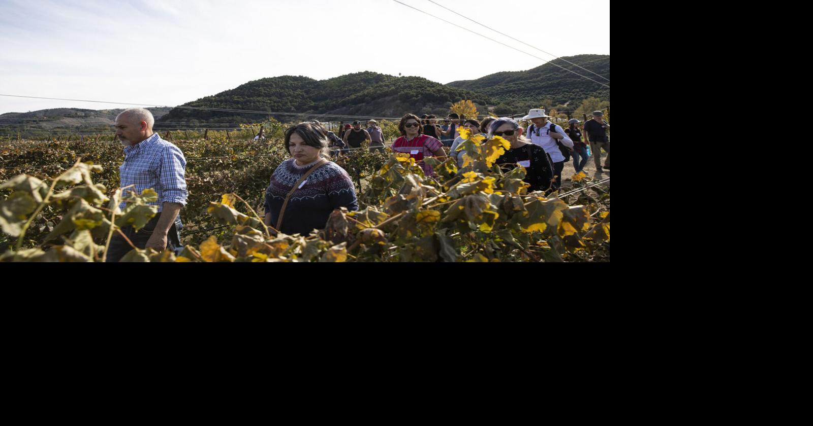 For these Latino and Indigenous farmers, the future of agriculture is ...