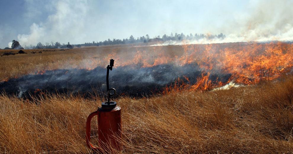Prescribed fire operations to begin Sept. 30 near Tusayan and Williams ...