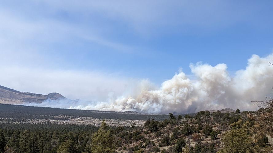 Gallery: Photos from the Tunnel Fire in northeast Flagstaff | Local ...