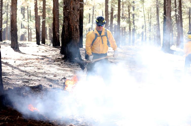 Operations wind down on Cecil Fire as other planned prescribed burns ...