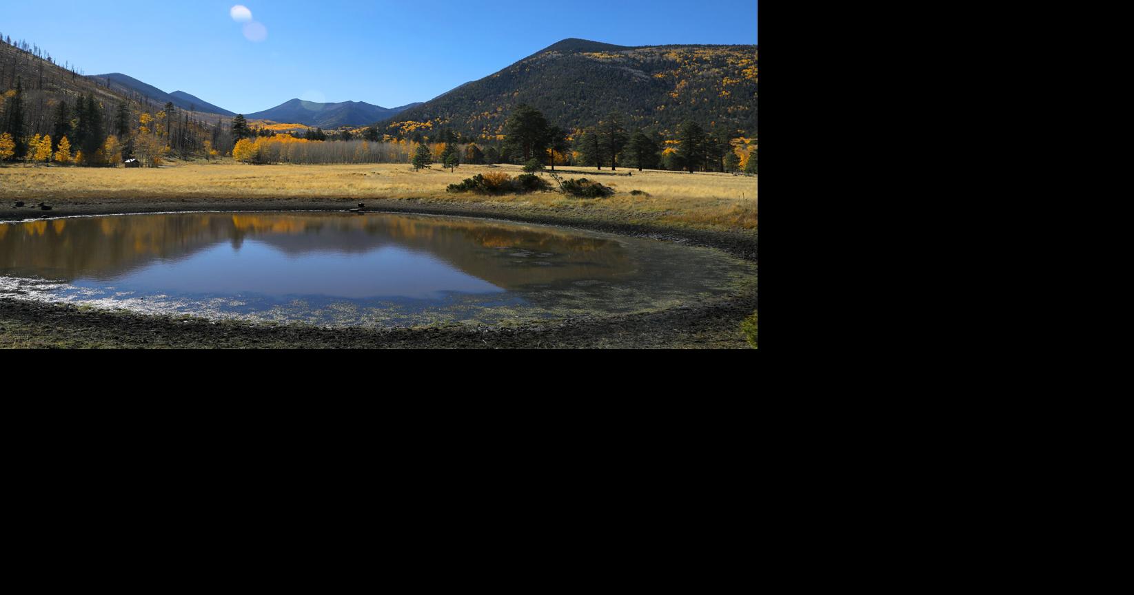 City, county work near Lockett Meadow/Schultz Pass nearing an end as ...