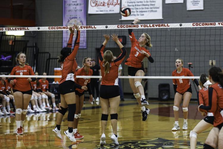 Gallery: Coconino Volleyball vs Cortez | Sports | azdailysun.com
