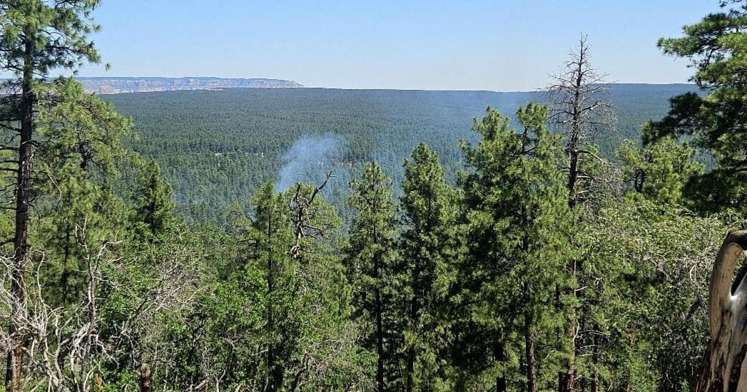 Kaibab officials managing fire east of Tusayan for forest health ...