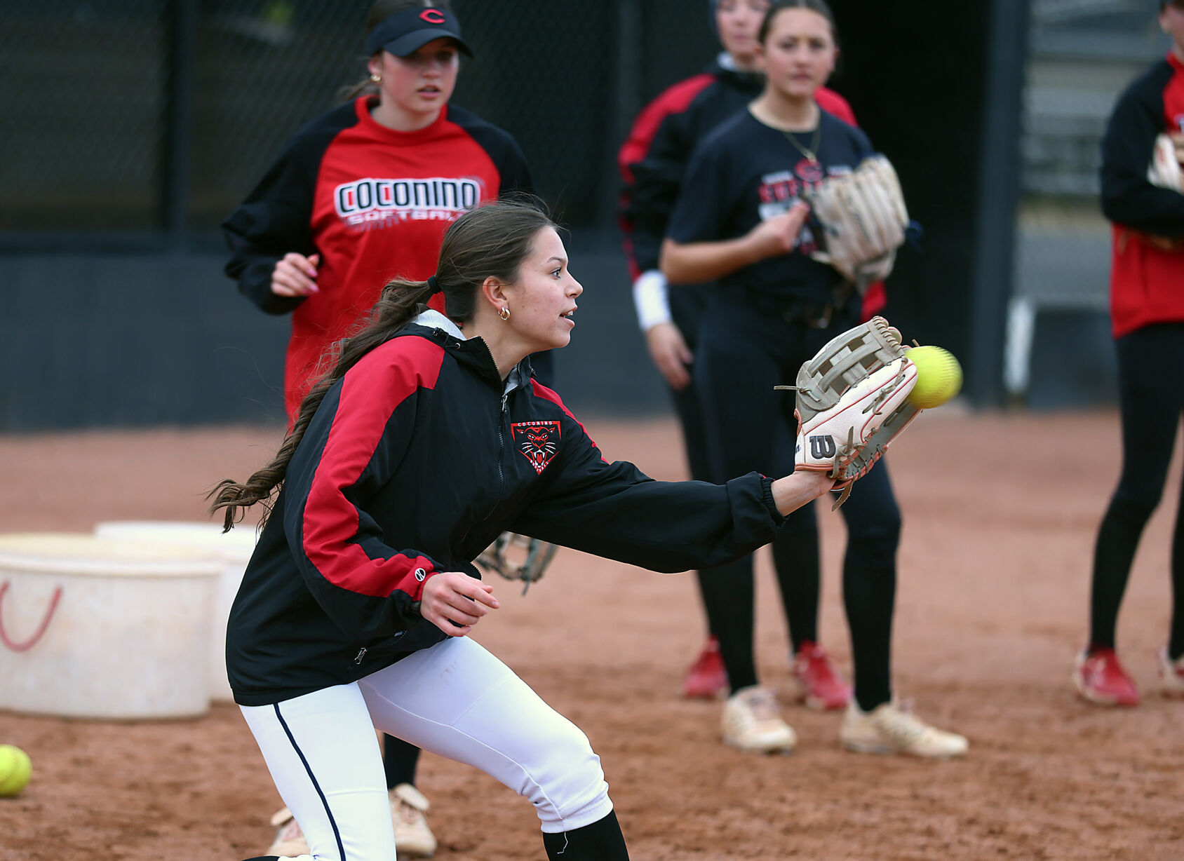 Coconino softball prepares for title defense as Dennis enters milestone ...