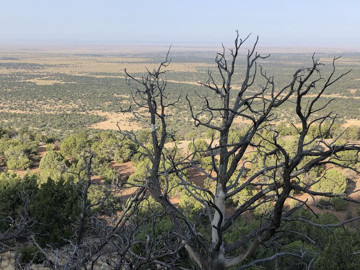 Outdoors: Climbing Red Butte: More than just a Grand Canyon detour ...