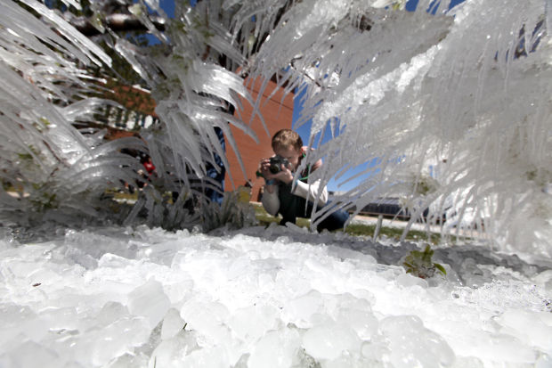 University Ice Sculptures | Local News | azdailysun.com