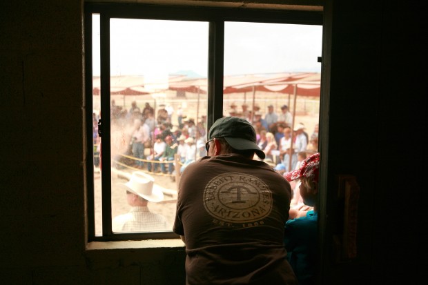 Hashknife sale a Babbitt Ranches tradition | | azdailysun.com