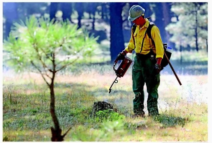 Prescribed burns protect Arizona forests | | azdailysun.com
