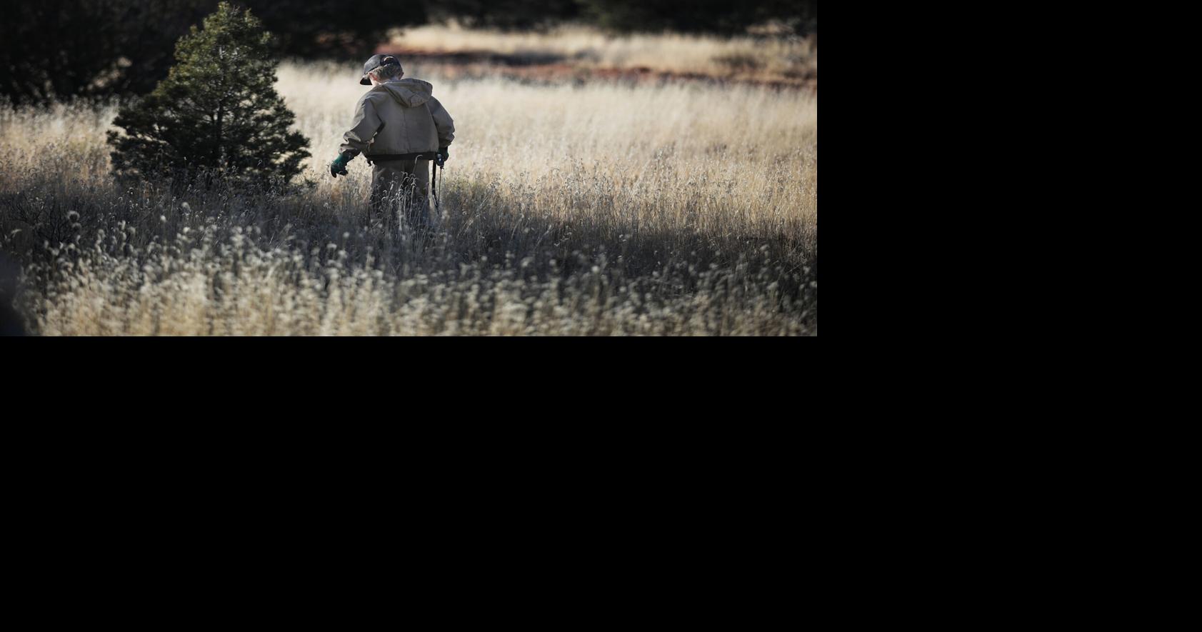 Kaibab National Forest Christmas tree permit sales to begin Oct. 10 | Local News | azdailysun.com