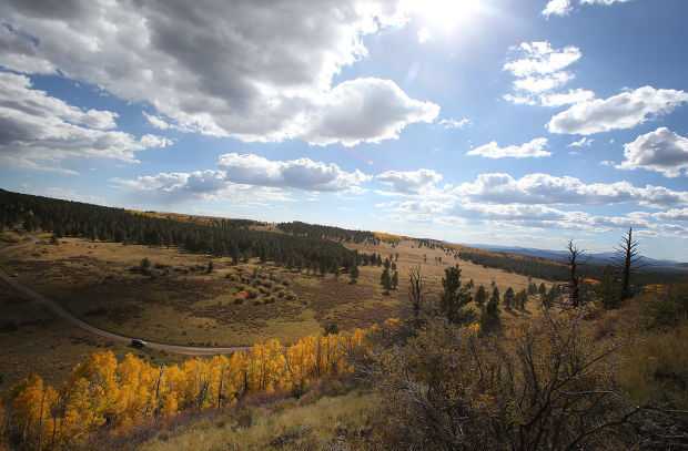 Fall Colors Near Hart Prairie | | azdailysun.com
