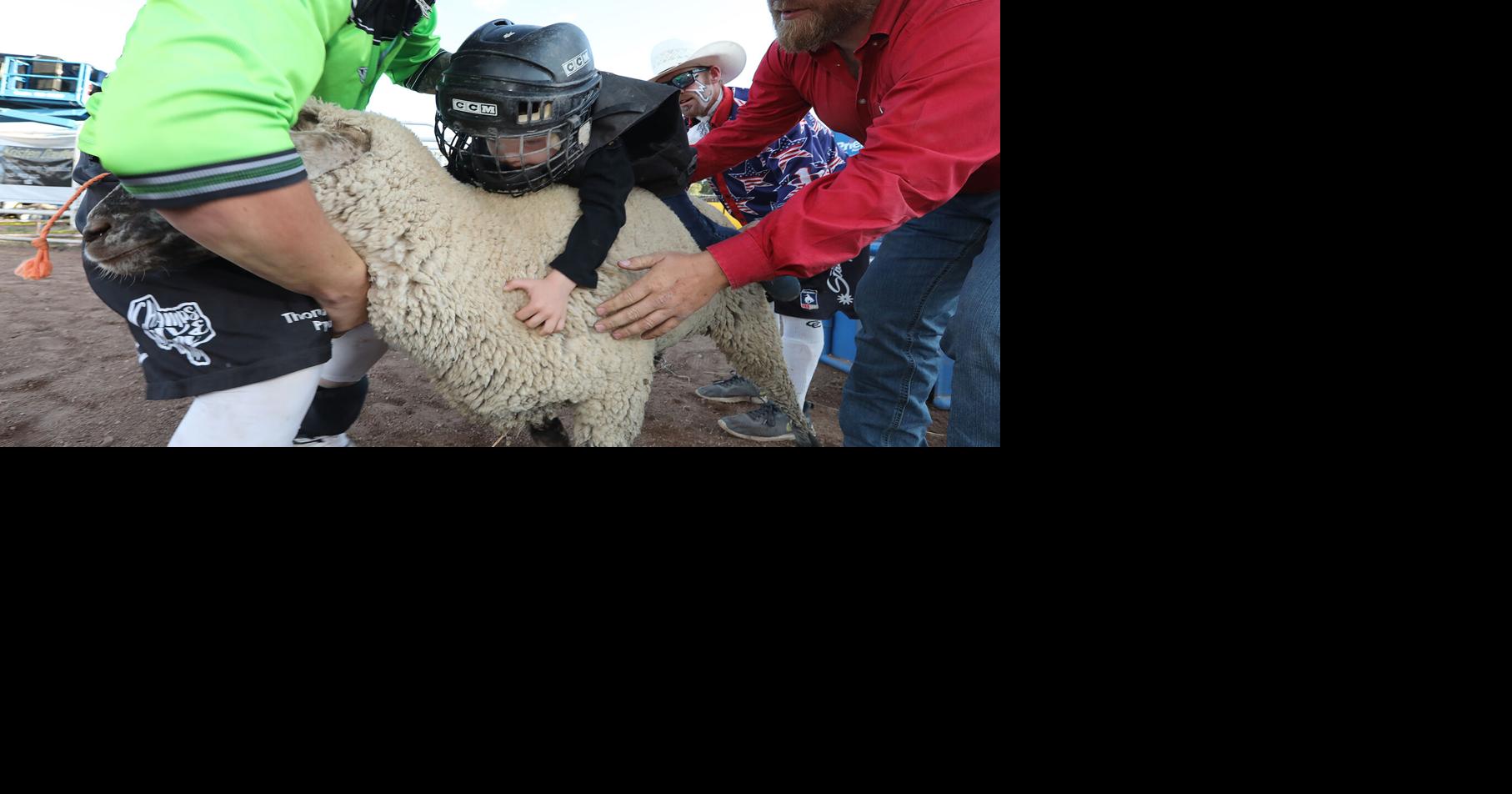 Gallery: More fun at the Flagstaff Pro Rodeo over the weekend ...