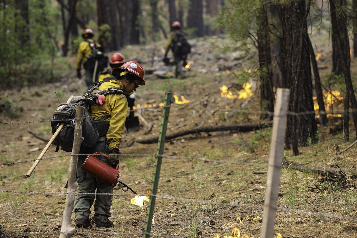 Fire managers 'turn corner' on Rafael Fire after weekend of work on ...